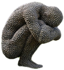 Artzu Gallery | Passionate Art Collectors